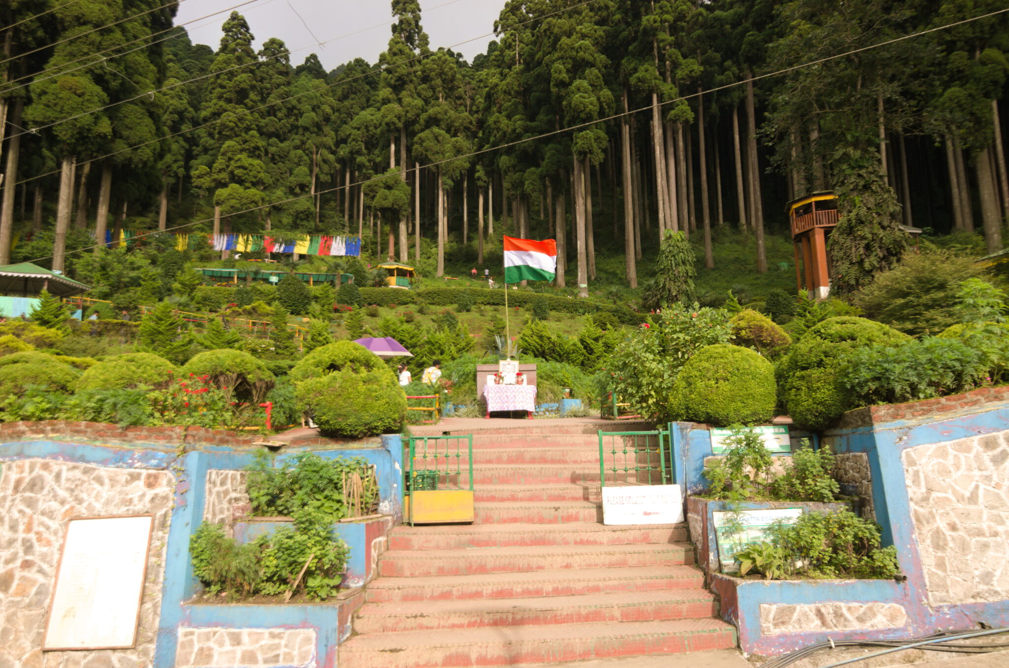 Lamahatta: A Complete Travel Guide – Darjeeling Trip