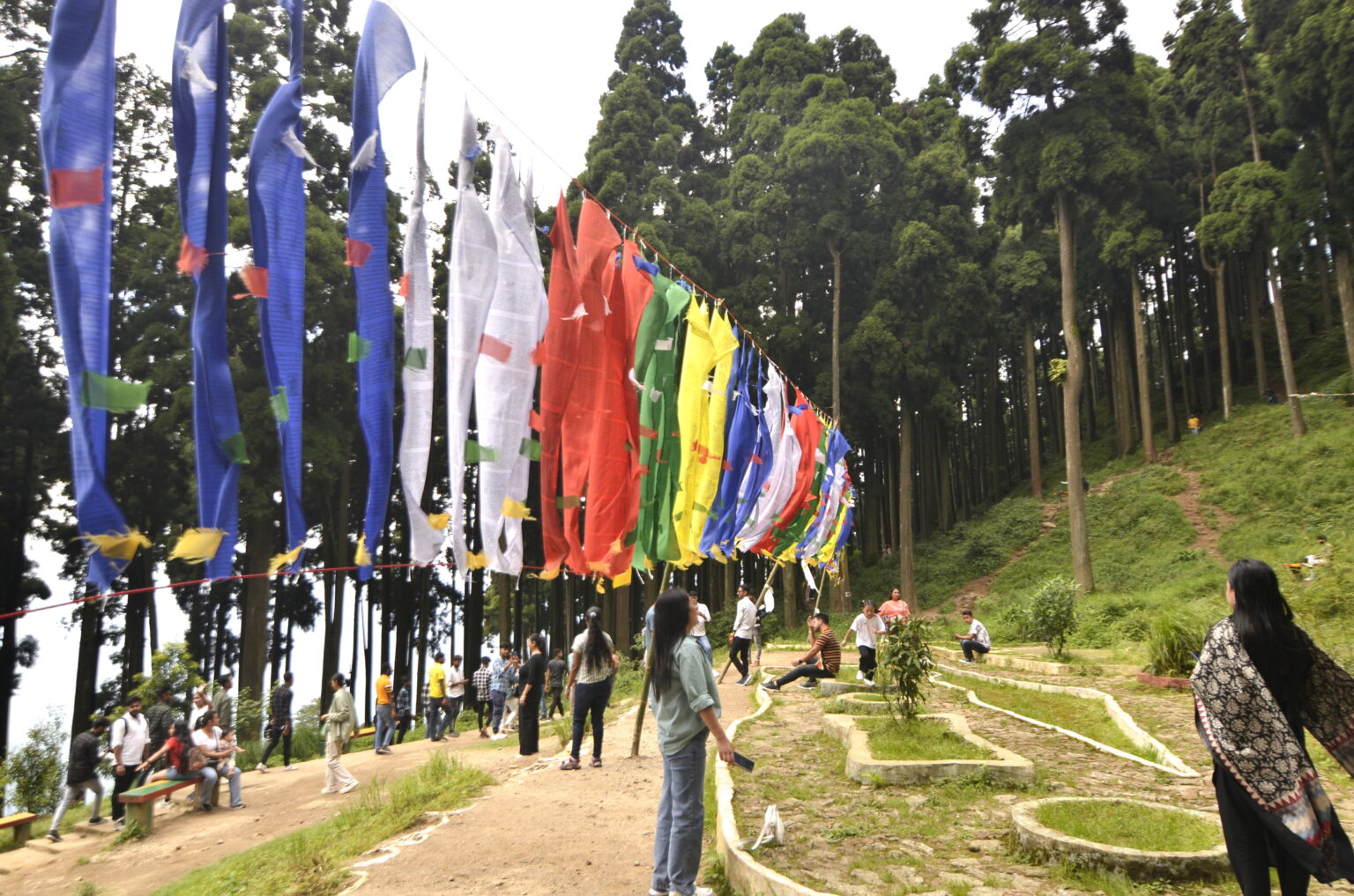 Lamahatta: A Complete Travel Guide – Darjeeling Trip